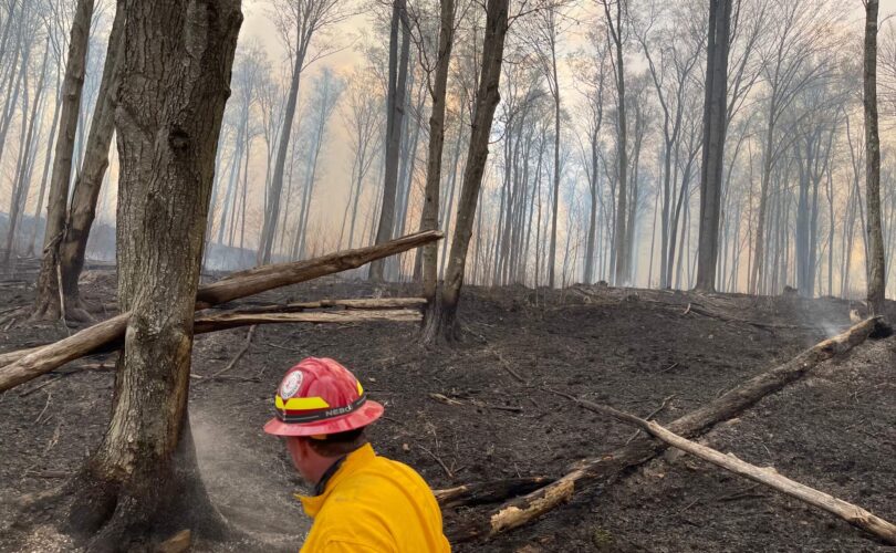 Wildland/Forest Fire Response - Elkland